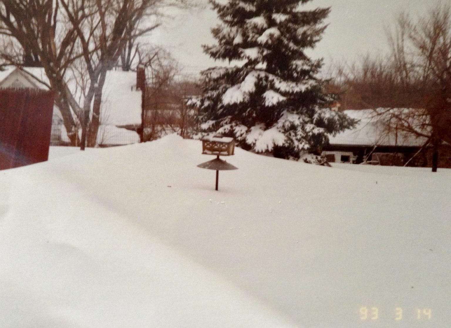 Blizzard of 1993: The Storm of the Century - memoryln.net